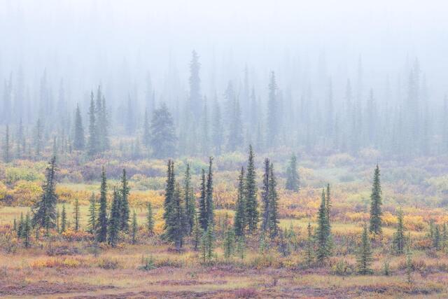 Alaska - Landscapes and Wildlife