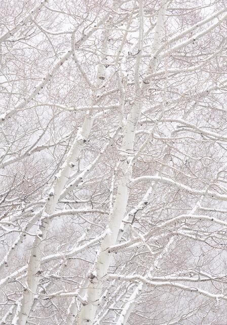 Colorado - Winter