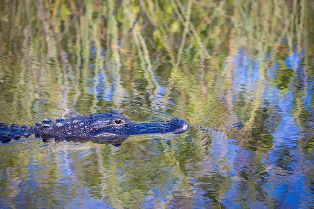 Florida