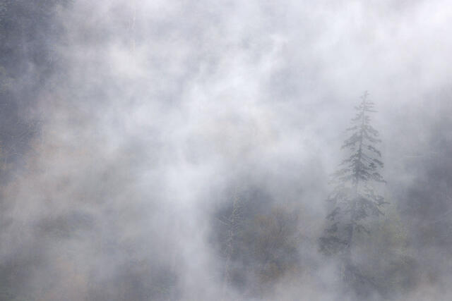 Great Smoky Mountains