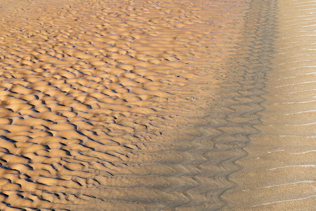 Recent Work: Mud Dirt Sand