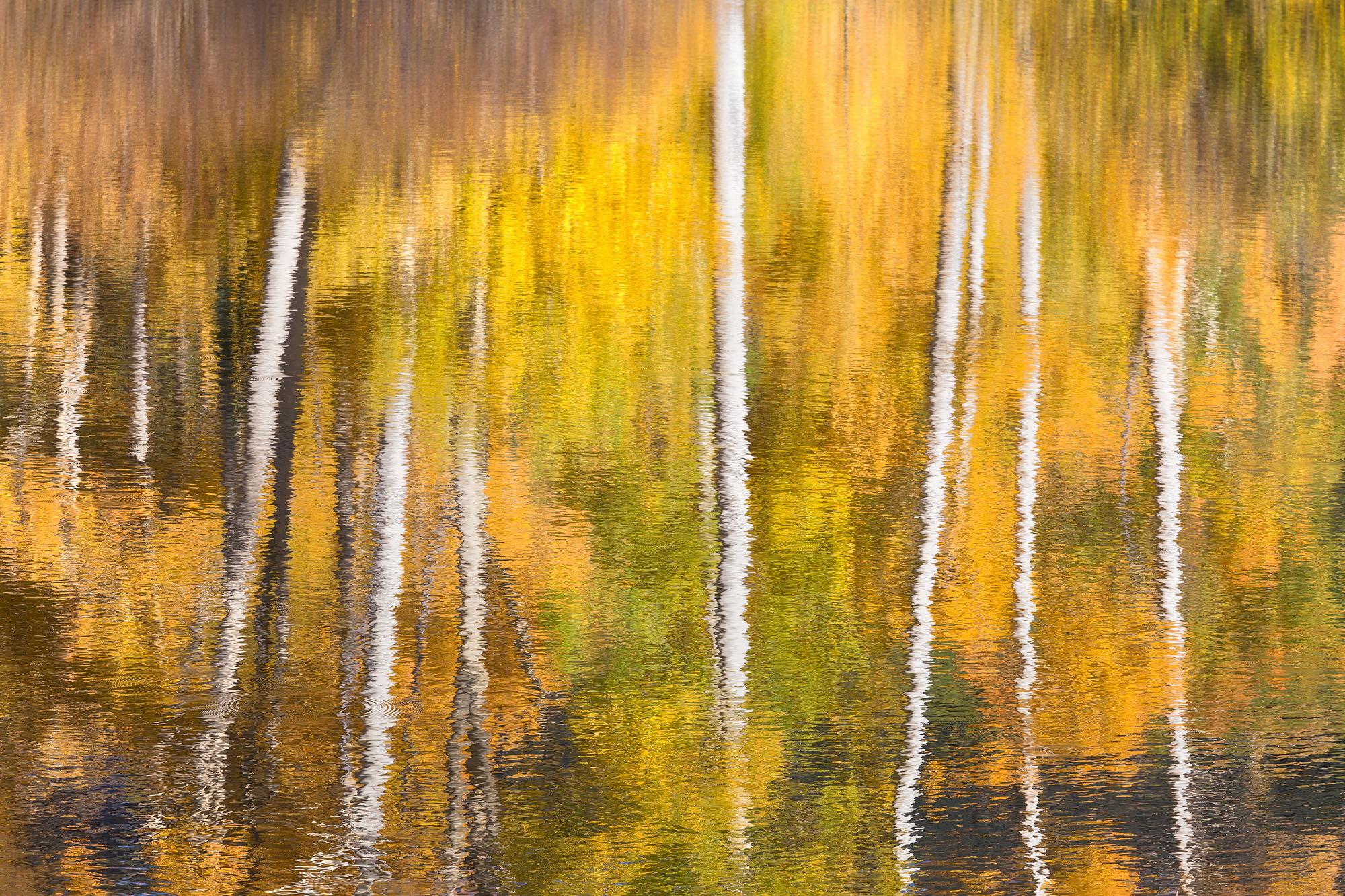 Impression Reflection