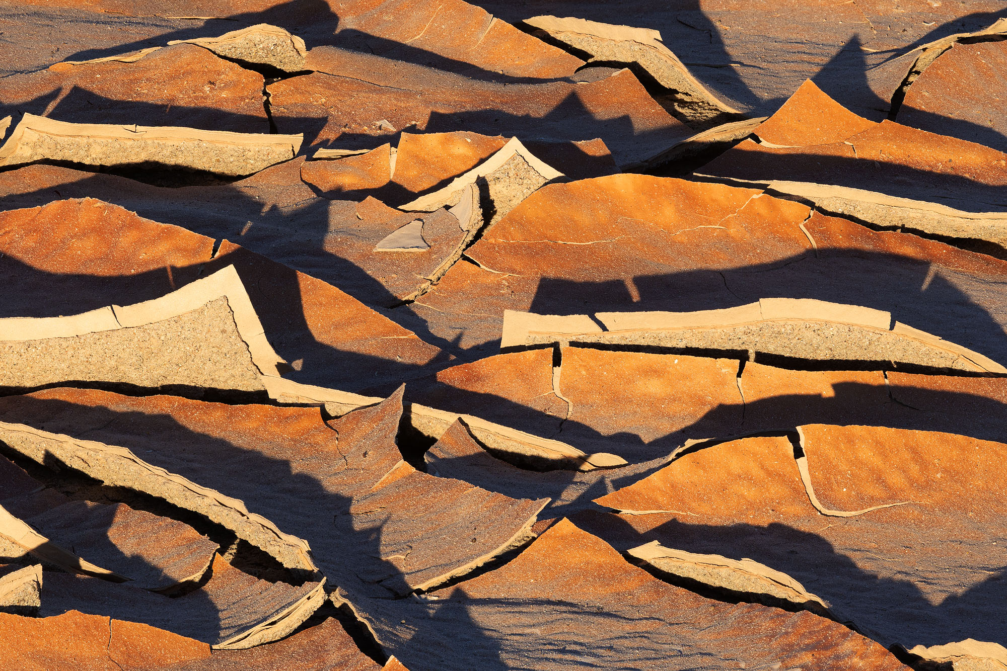 Mud Ecstasy: Playing with Dirt in Death Valley