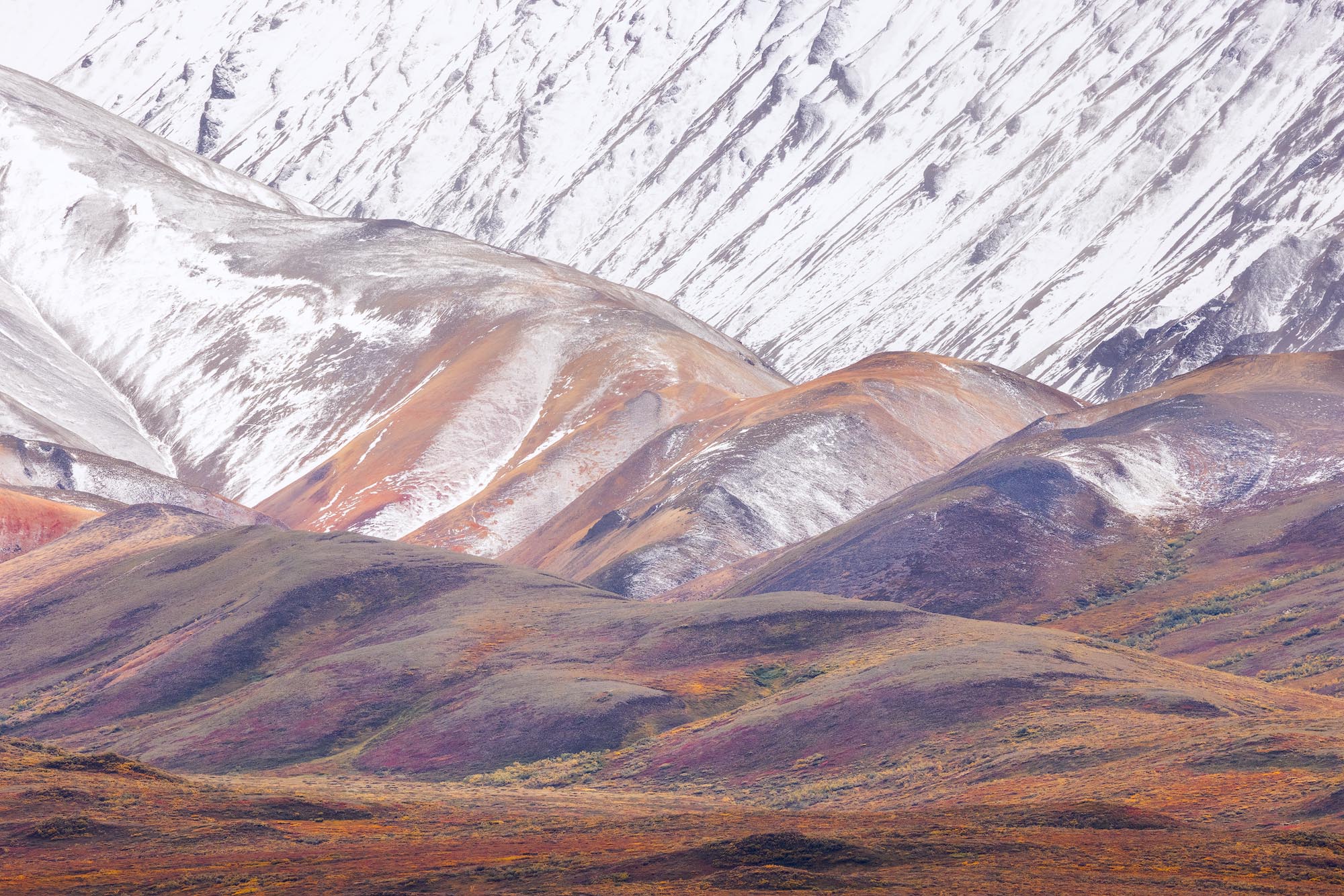 Snow Line