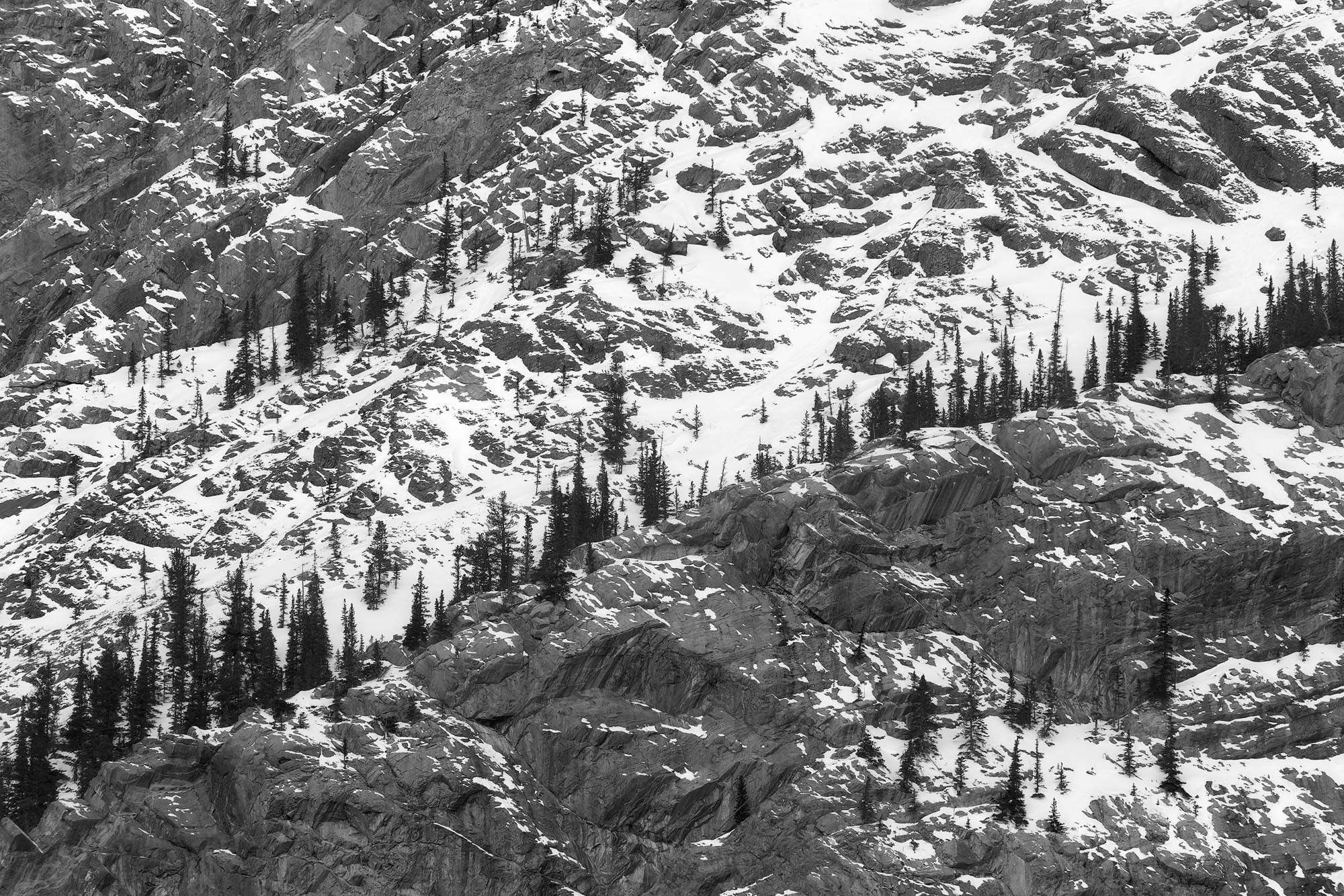Treeline
