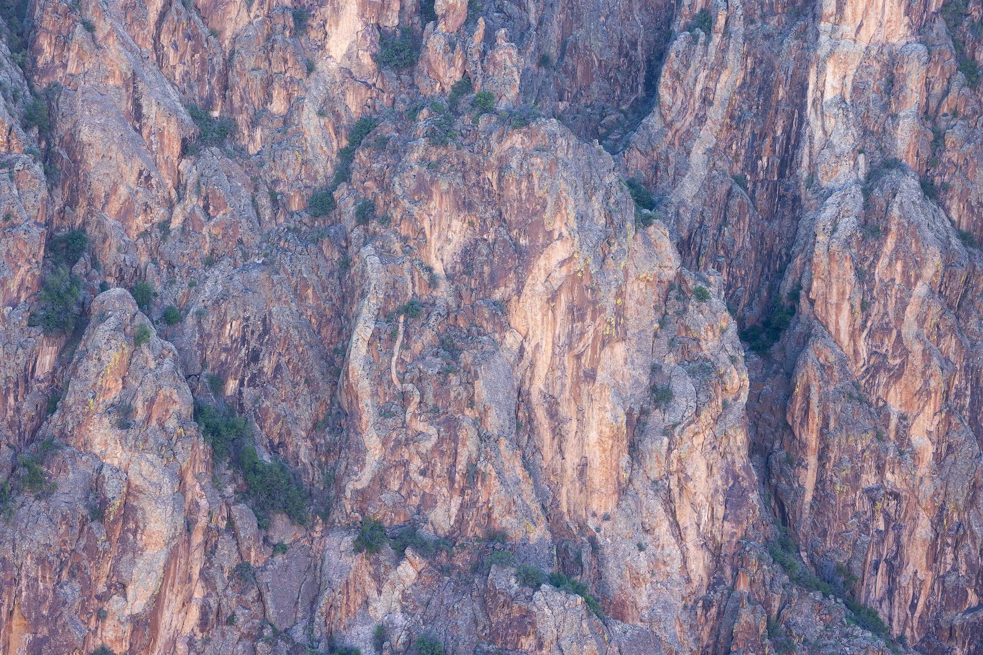 Tall Walls