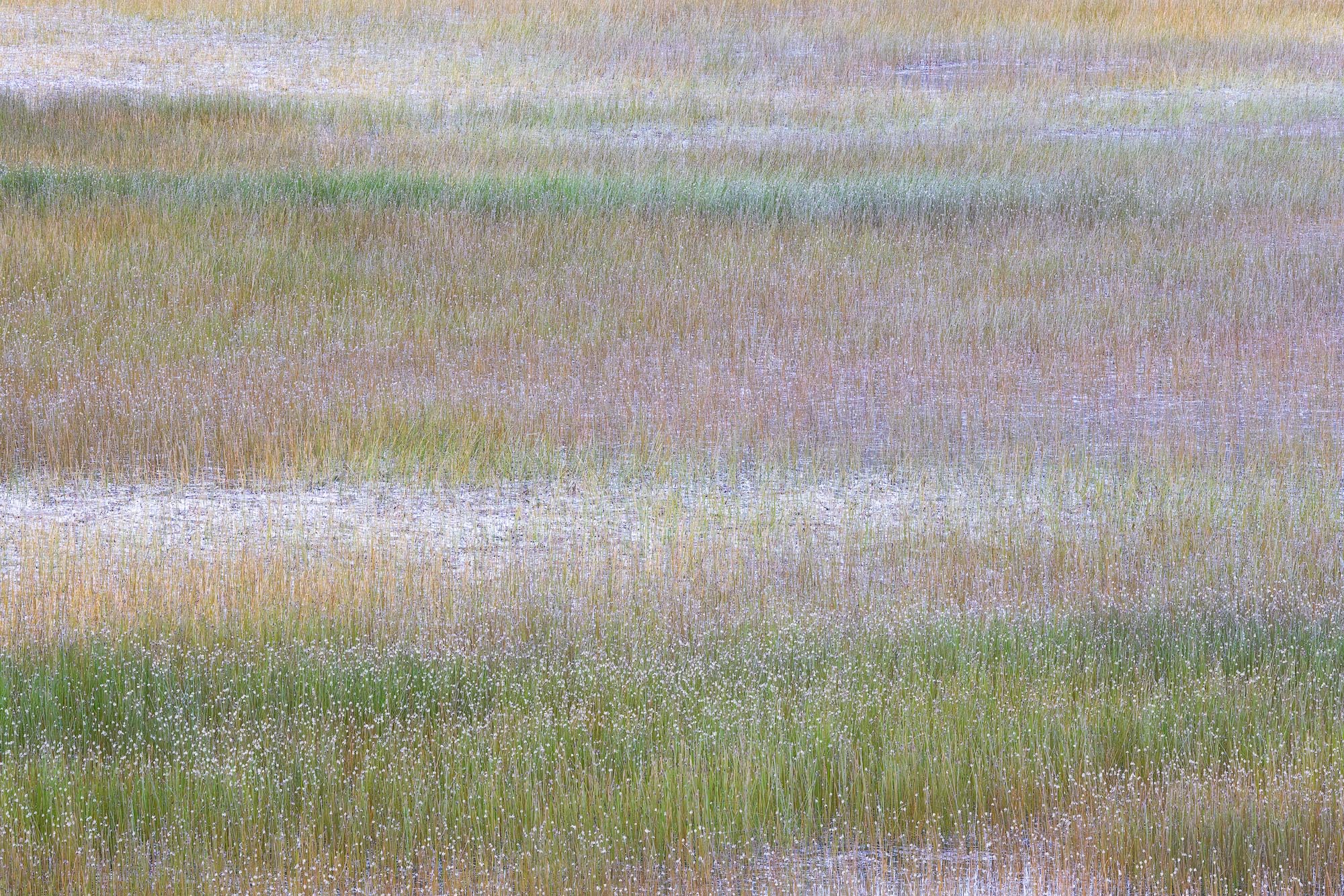 Layers of Spring