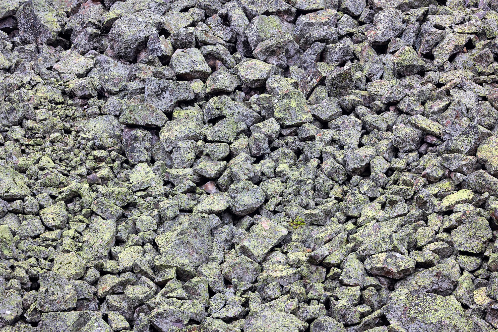 Scree Field