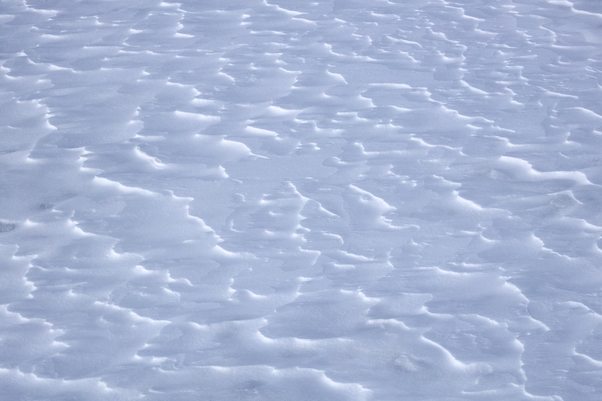 Windblown Ridges