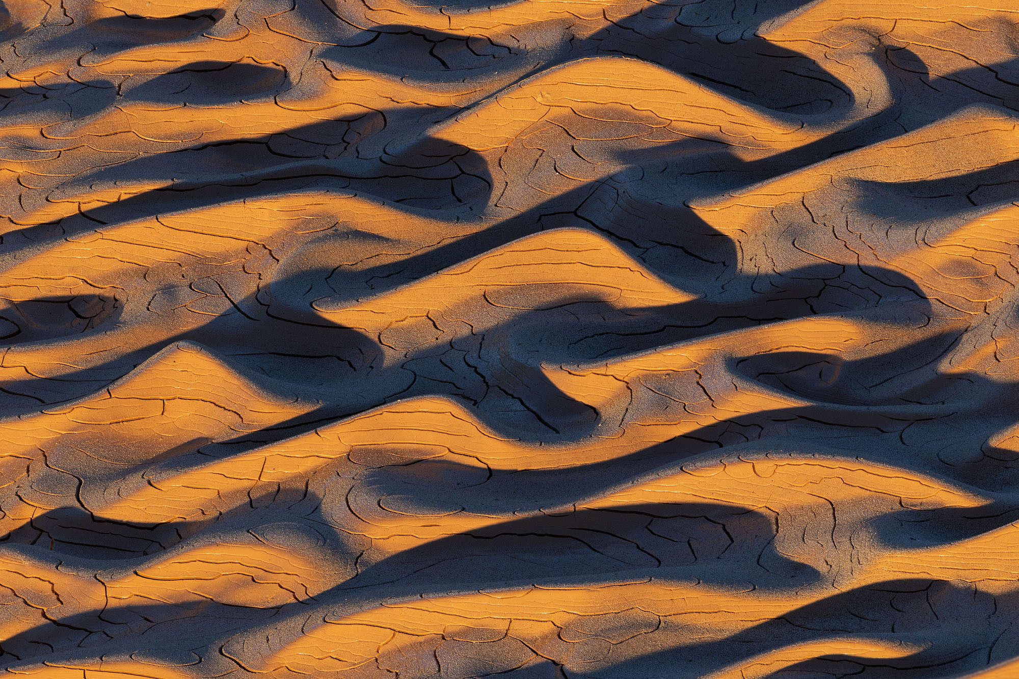 Mud Ecstasy: Playing with Dirt in Death Valley