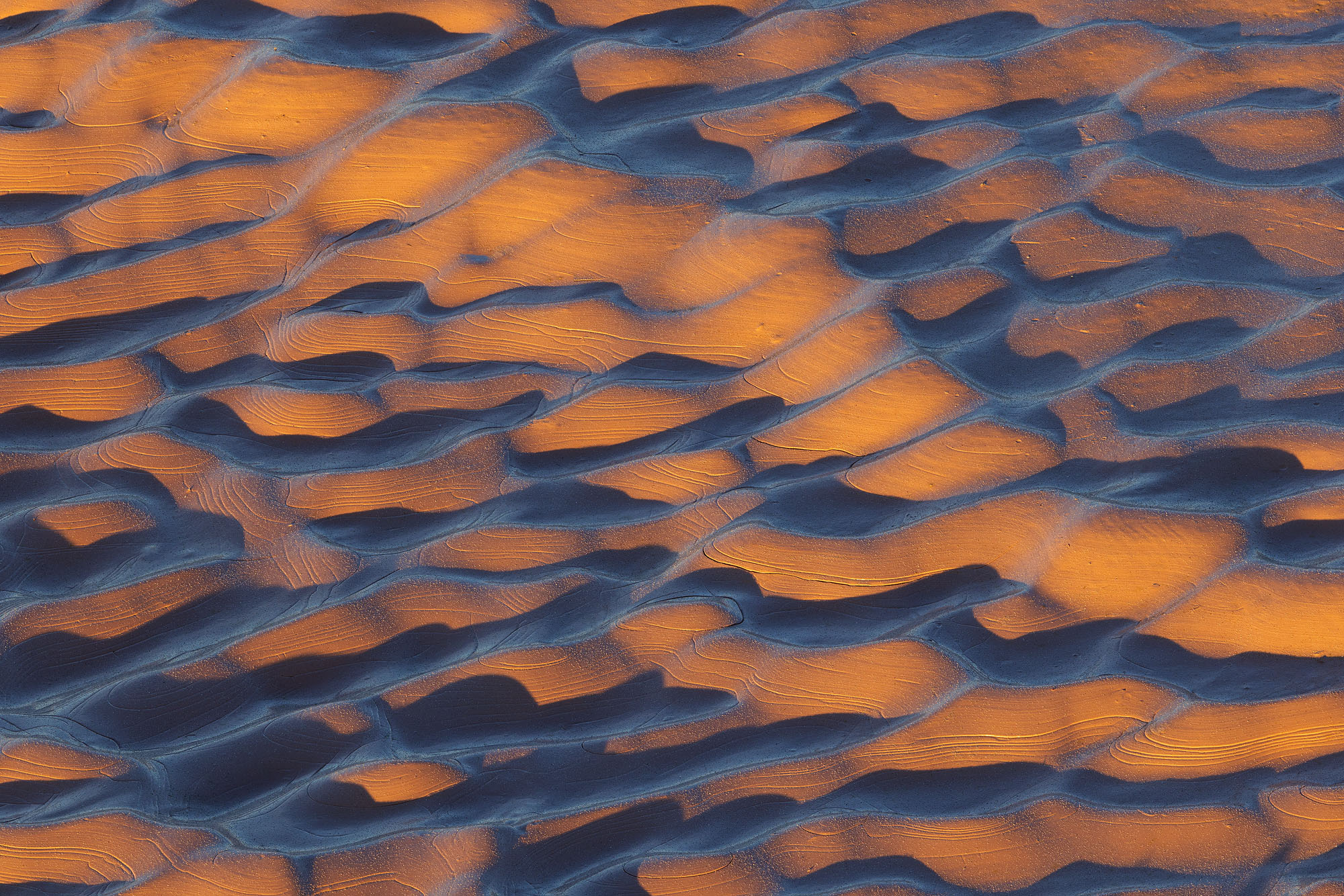 Mud Ecstasy: Playing with Dirt in Death Valley