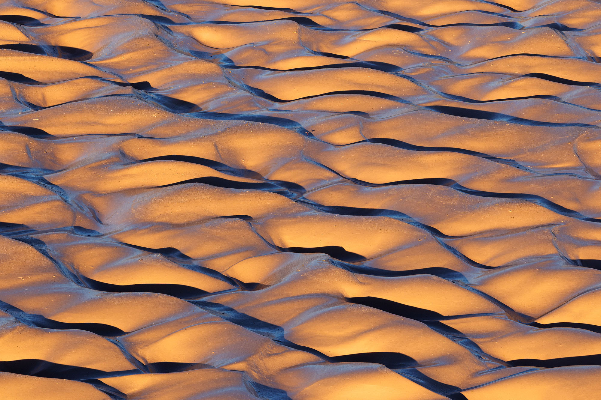 Mud Ecstasy: Playing with Dirt in Death Valley